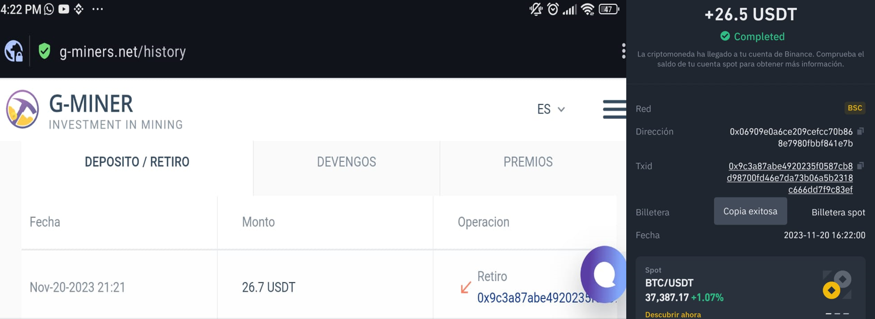 G-MINER – Cazando Hyips