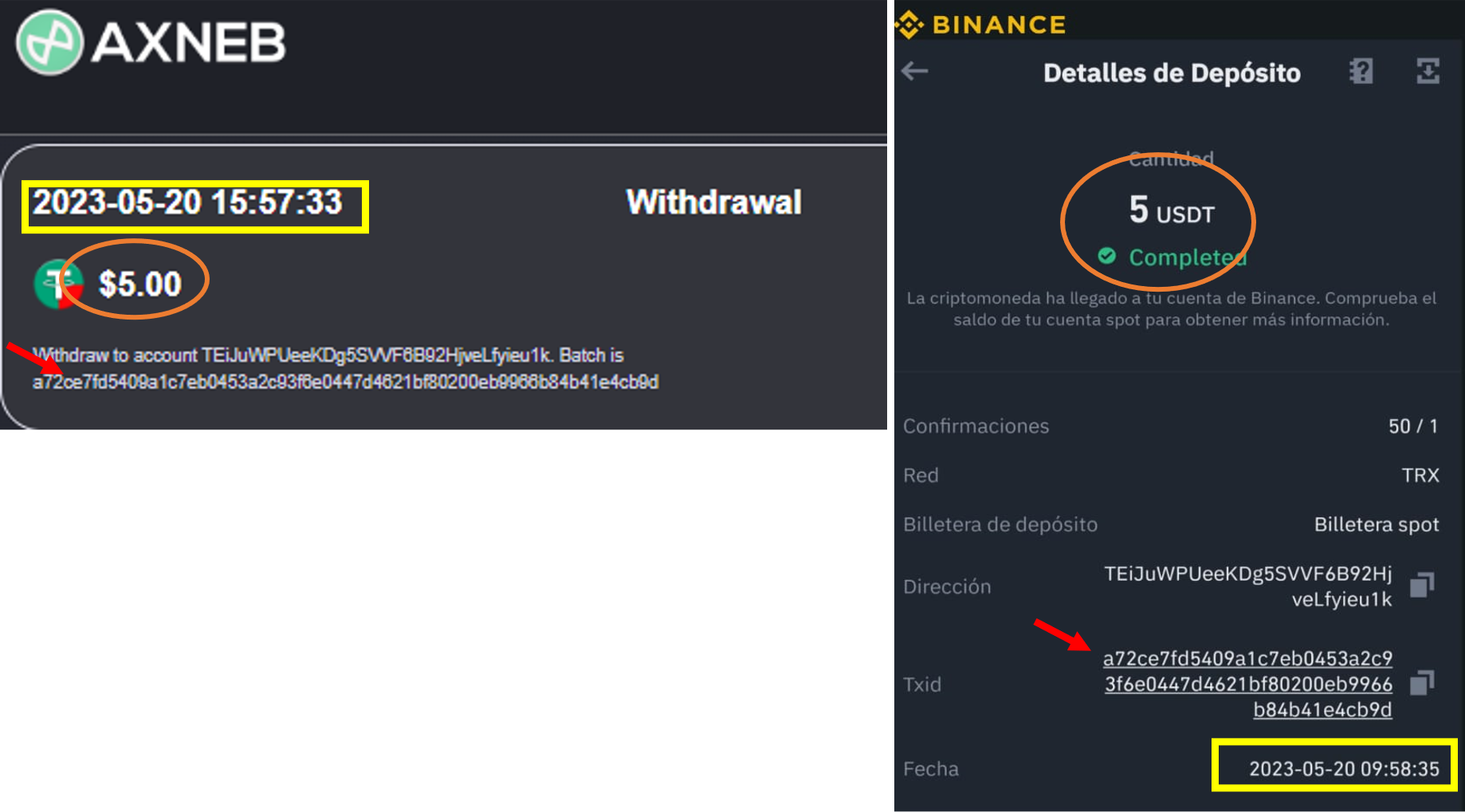 AXNEB – Cazando Hyips