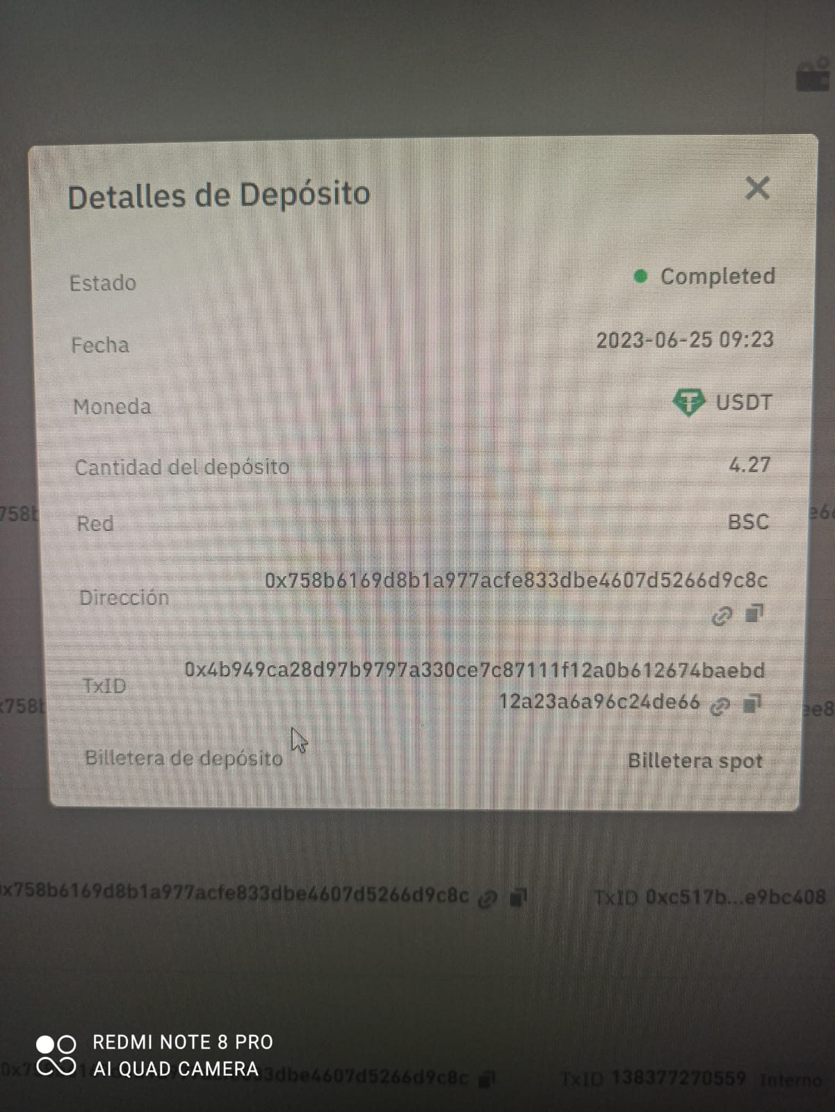 HENBBO – Cazando Hyips